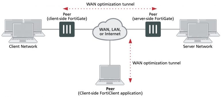 WAN optimization peers | Fortinet GURU