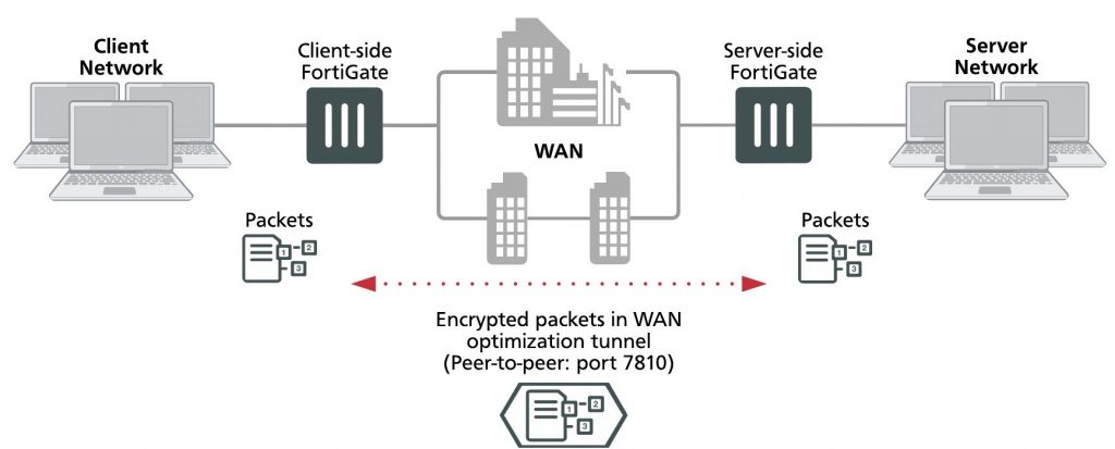 WAN optimization tunnels | Fortinet GURU