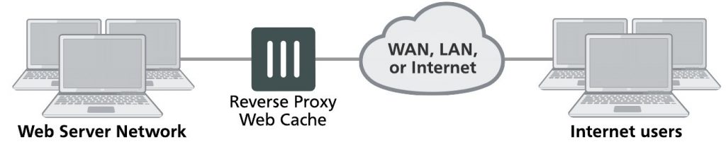 Web caching topologies | Fortinet GURU