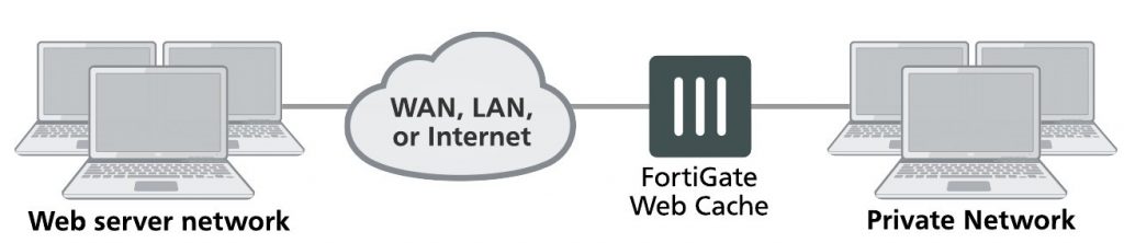 Web caching topologies | Fortinet GURU